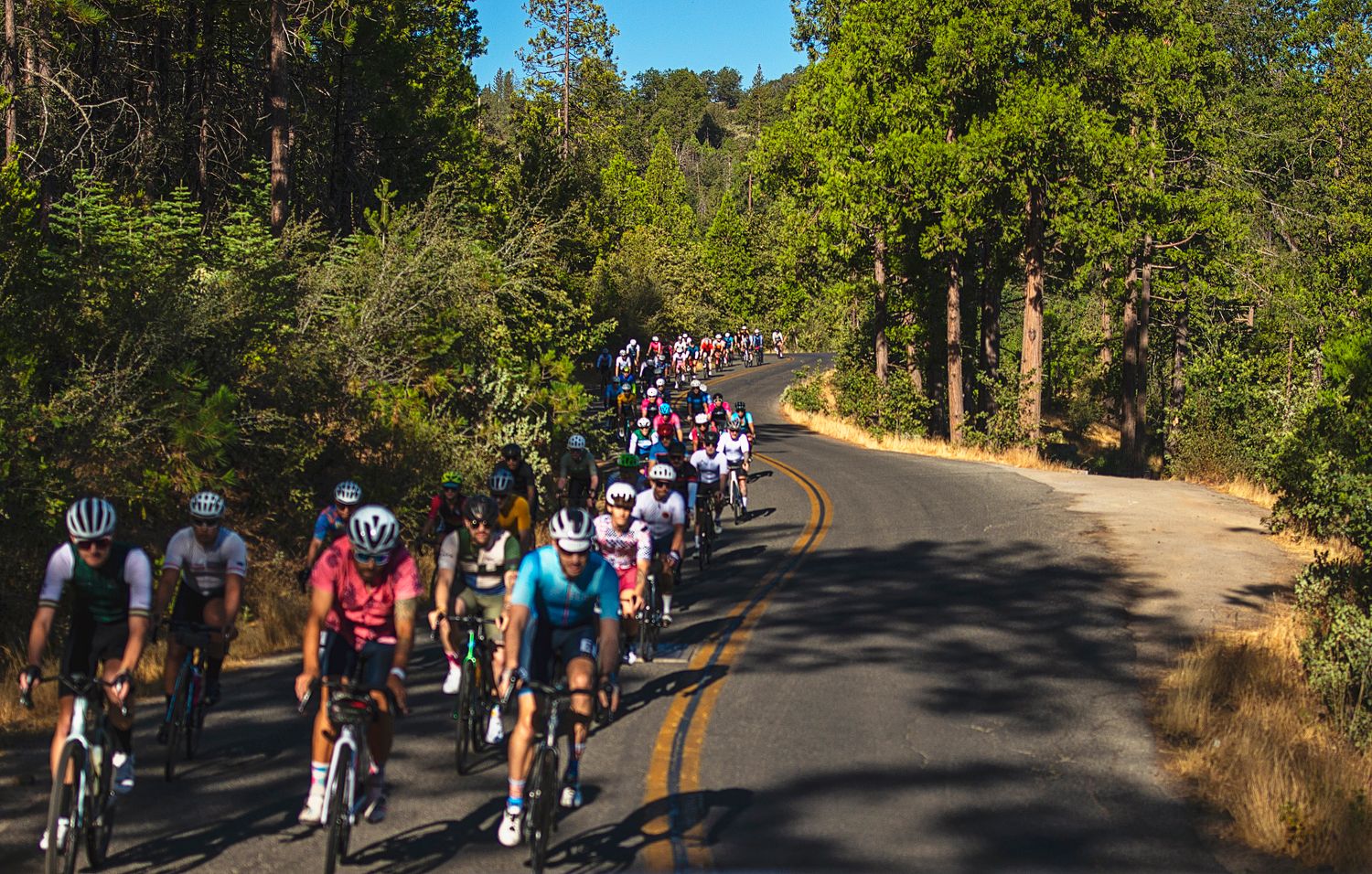 THE FREE RIDE – Ride Bikes
